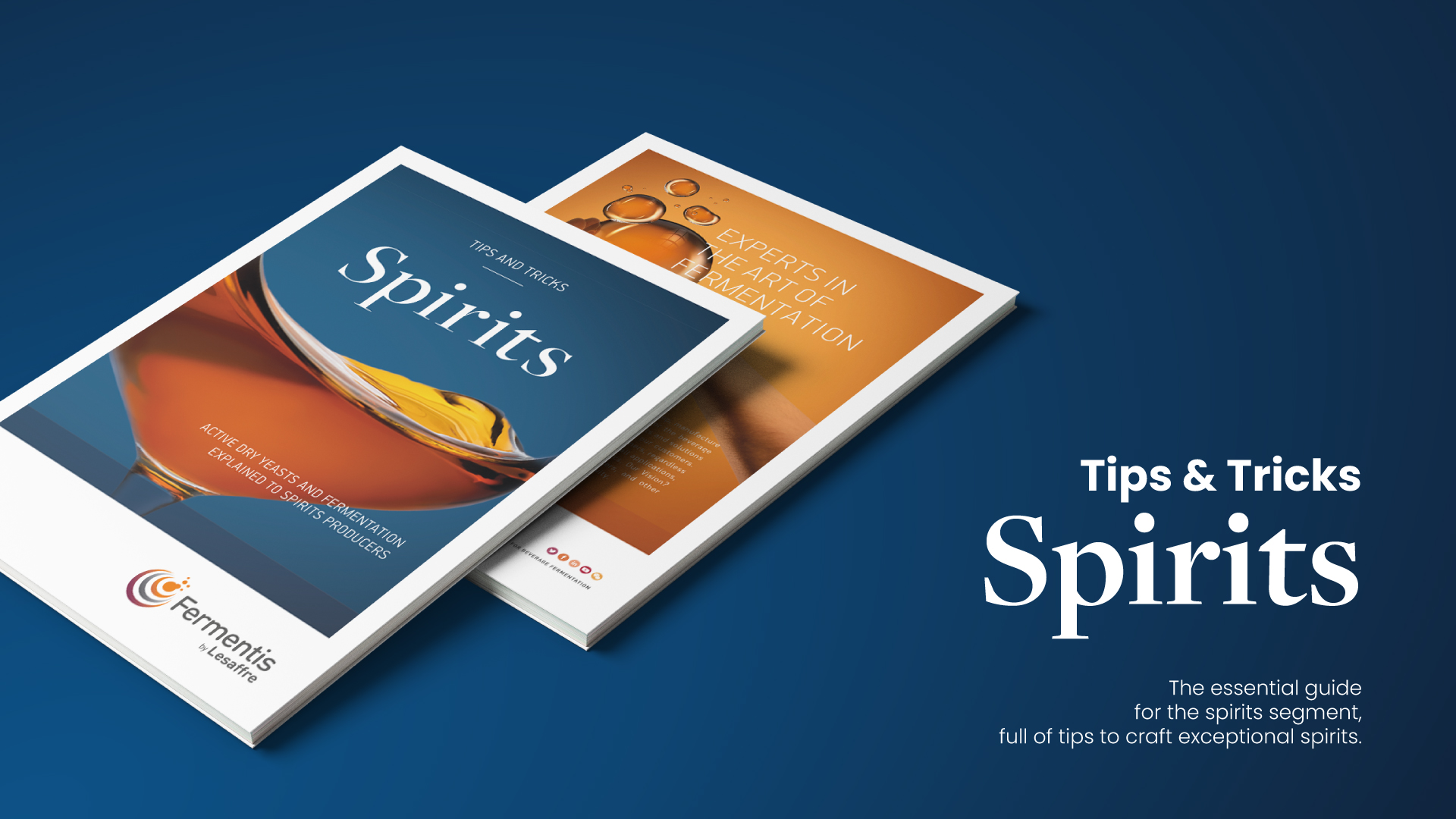 The origins of defects in spirits - Fermentis