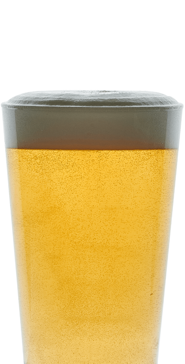 Fermentis - Yeast and fermentation solutions for beverages