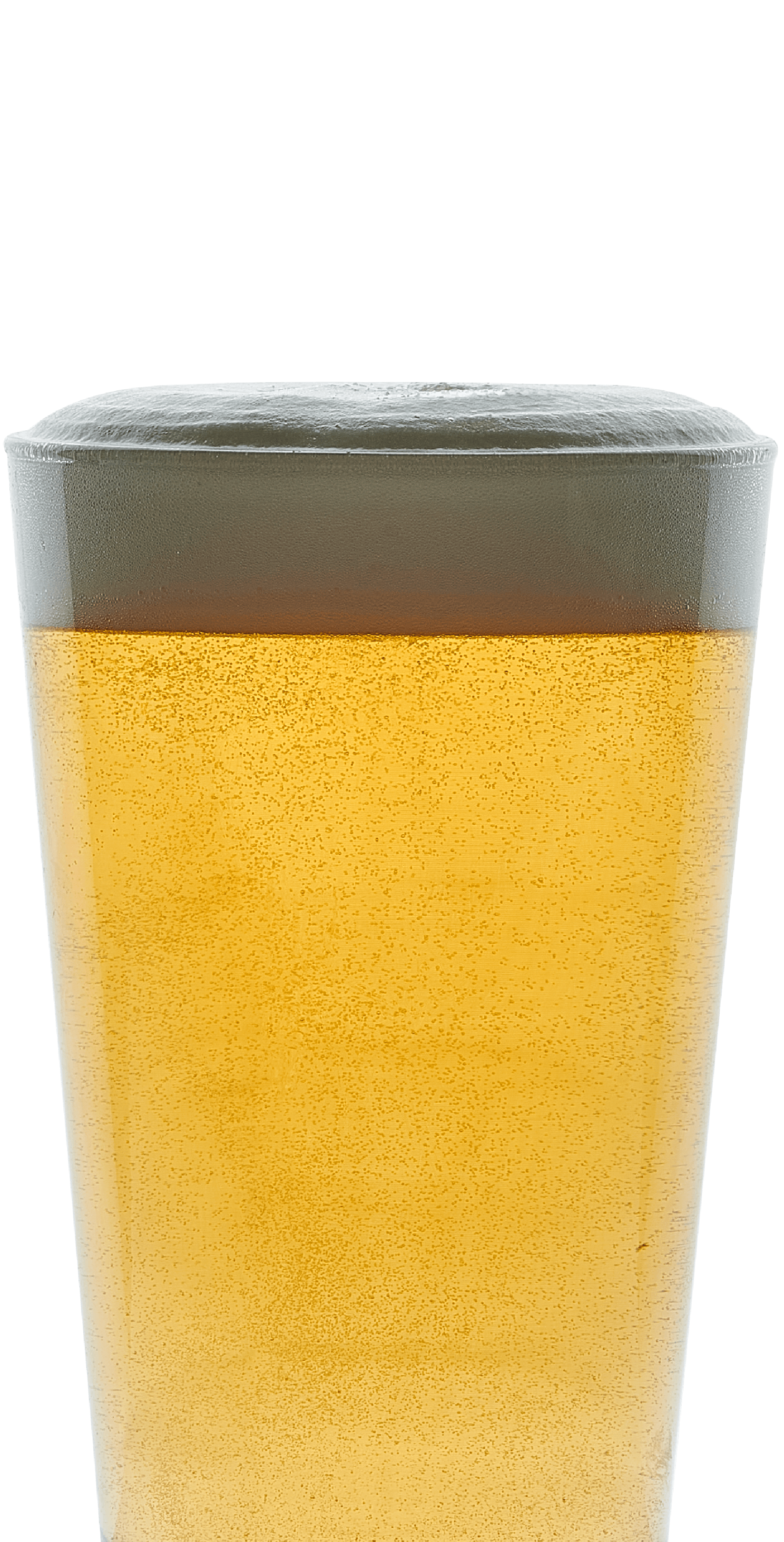 Fermentis - Yeast and fermentation solutions for beverages